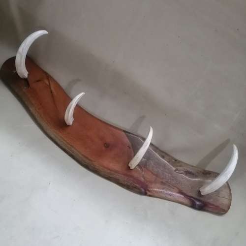 Other Antiques & Collectables - African Warthog tusk hanging rack was ...