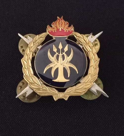 Emergency Services - SAPS badge - Bomb disposal proficiency badge Size ...