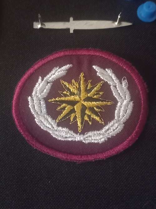 South African Army - SADF Special Force / Recce Operator Badge (Silver ...