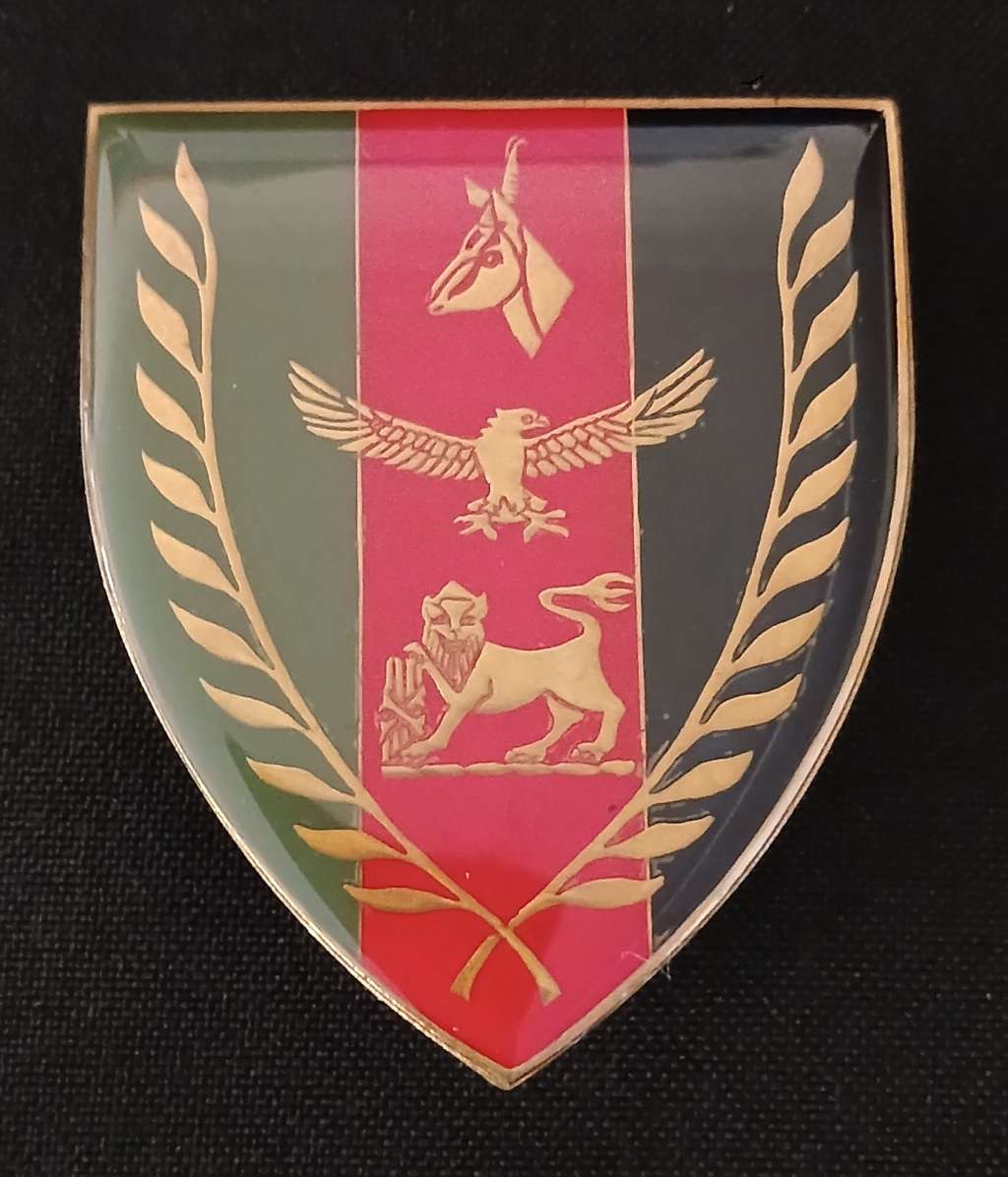 South African Army - SADF CHIEF OF JOINT COMBAT FORCES SHOULDER FLASH ...