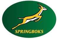 Other Sport & Leisure - Springboks Temporary Tattoo (set of 10) was ...