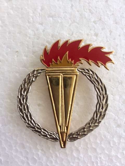 South African Army - Recce/ Parabat Metal Pathfinder Badge (Prototype ...