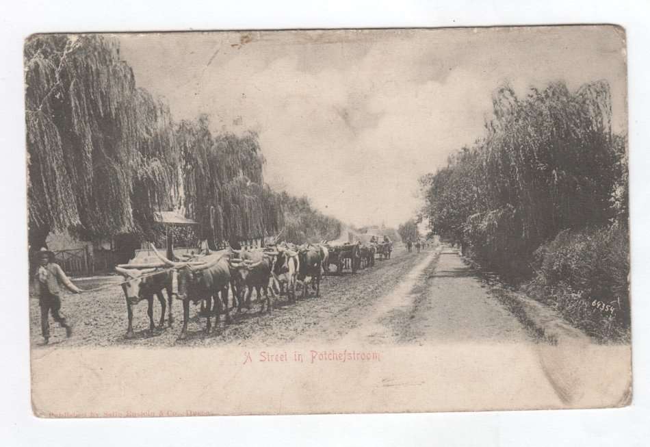 Post Cards - Postcard from Tempe Army camp Bloemfontein South Africa to ...
