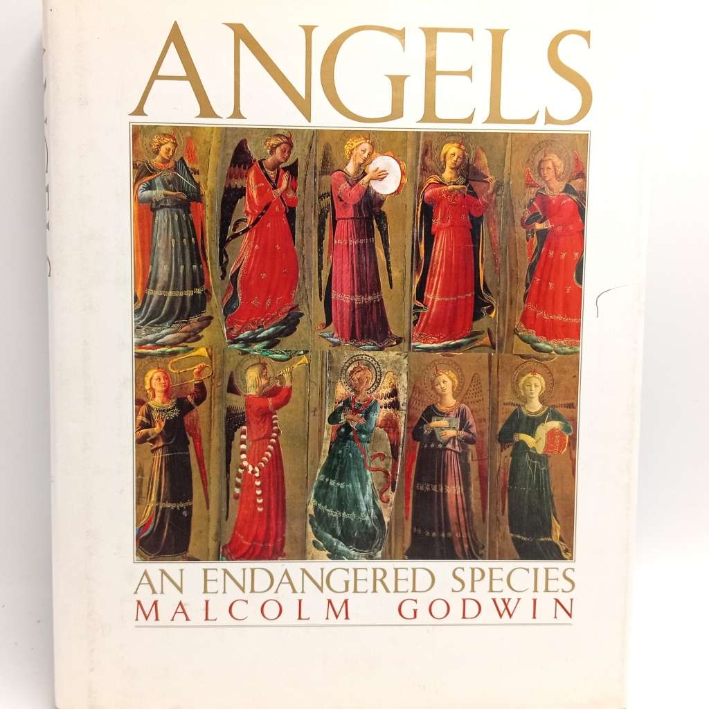 Art & Photography - Angels - An Endangered species by Malcolm Godwin ...