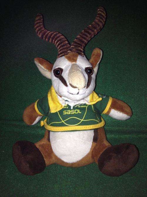 Sporting Memorabilia - Bokkie +-25cm - Plush Springbok - Official ...