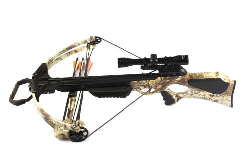 Training Equipment - Cheetah Camouflage Martial Arts 180lbs Cocking ...