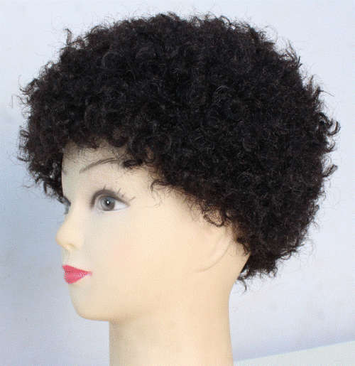 Wigs - Dry Perm Wig - Colour Brown was sold for R250.00 on 1 Jan at 09: ...
