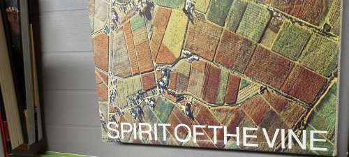 Business, Finance & Law - Spirit of the vine. Republic of South Africa ...