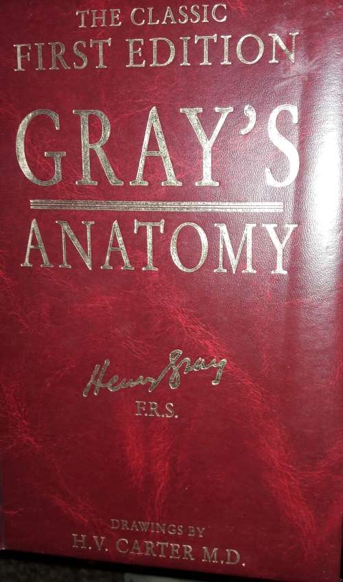 Other Non-Fiction - The Classic First Edition - Gray`s Anatomy - Henry ...