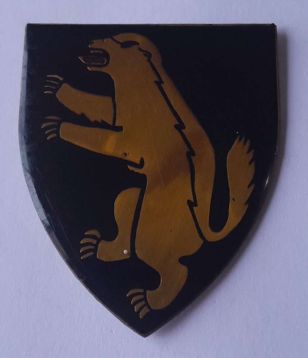 South African Army - SADF 1 South African Infantry (1 SAI) Battalion ...