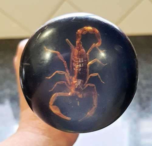 Other Antiques & Collectables - Knife/Mini Sword in Walking Cane ...