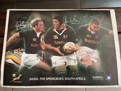 Sporting Memorabilia - Set of 10 Springbok Rugby Posters (Each one 29 ...