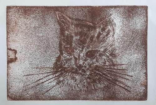 Paintings - Original unframed etch of an Cat, not signed by the artist ...