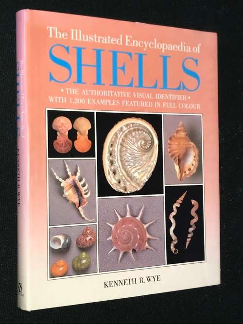 Natural Science - THE ILLUSTRATED ENCYCLOPEDIA OF SHELLS BY KENNETH R ...