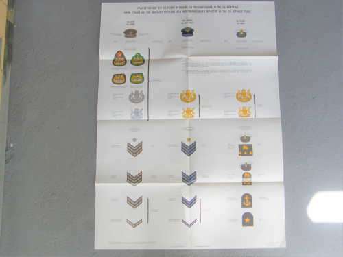 Other Militaria - Rank structure for warrant officers and NCO's of the ...