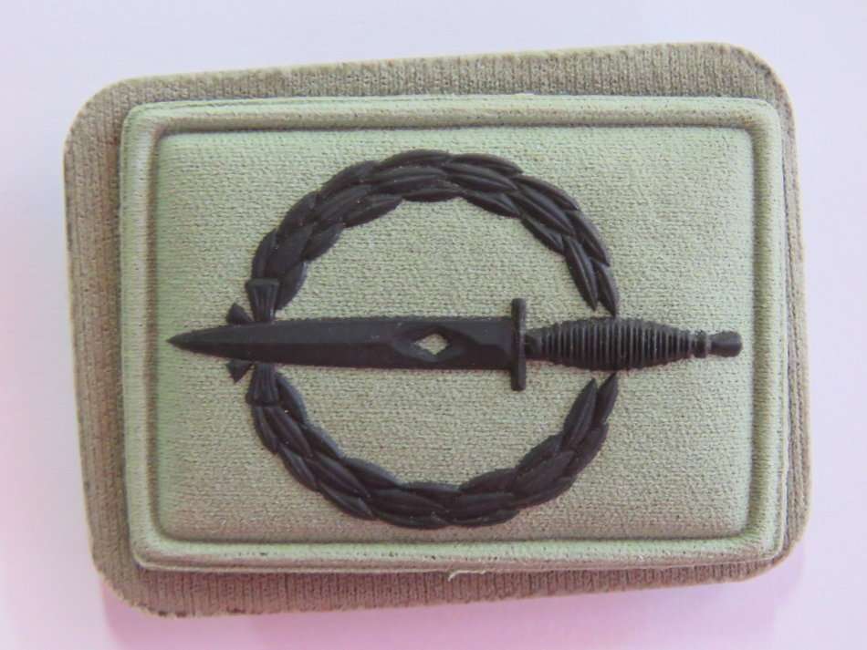 Other Badges & Insignia - SANDF Special Forces Operator badge was ...