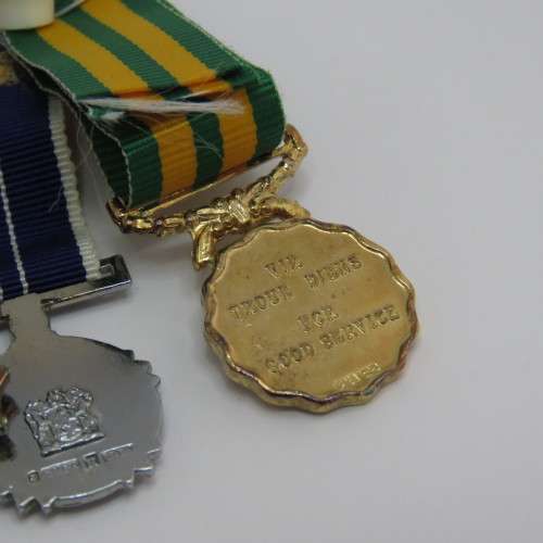 SADF & SANDF - Set of SADF miniature medals issued to Colonel G.A van ...