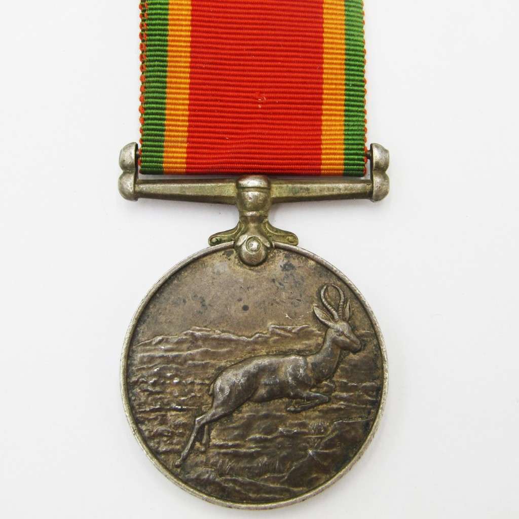 World War 2 - WW2 Africa service medal issued to 596072 L Davies for ...