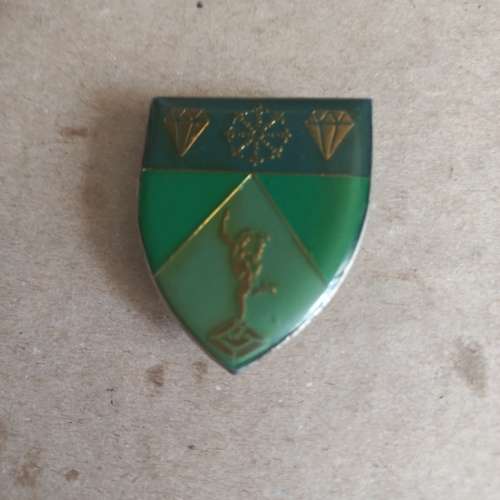 South African Army - SWA TF 1 Signals Regt Flash all pins was listed ...