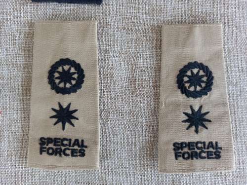Other Badges & Insignia - Transkei - Special Forces - Lt-Col Rank ...