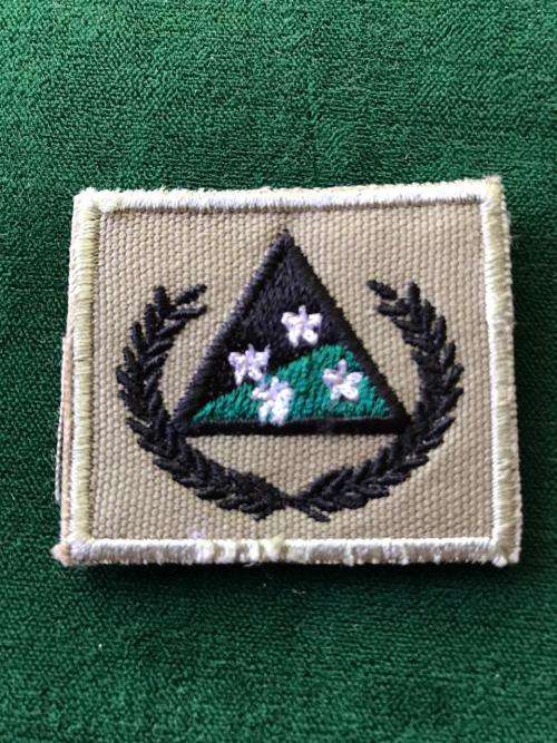 South African Army - SPECIAL FORCES INSTRUCTORS PATCH FOR TACTICAL ...