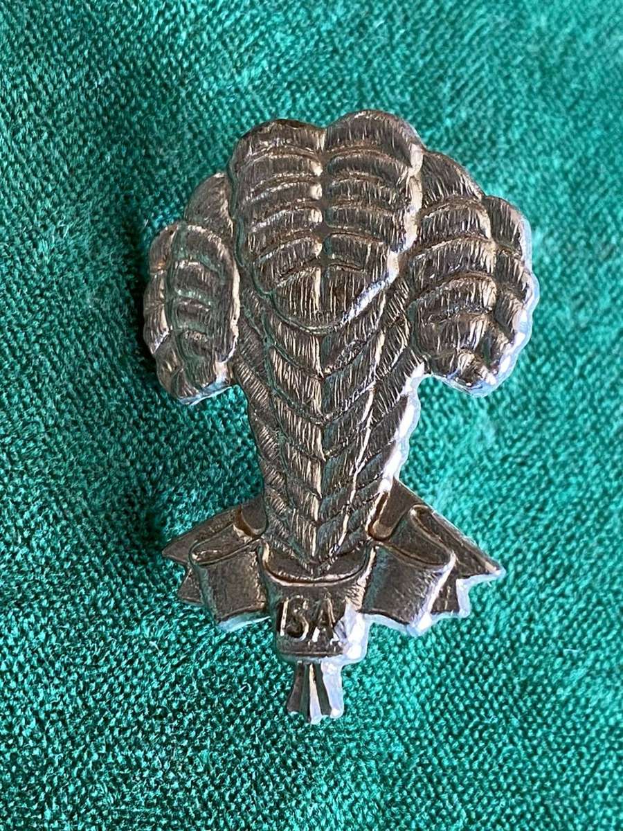 South African Army - 1 SA INFANTRY BATTALION CHROME BERET BADGE-WORN ...