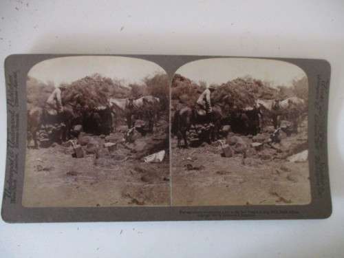 Other Africana - BOER WAR - STEREOSCOPE CARD - CORRESPONDENTS ...