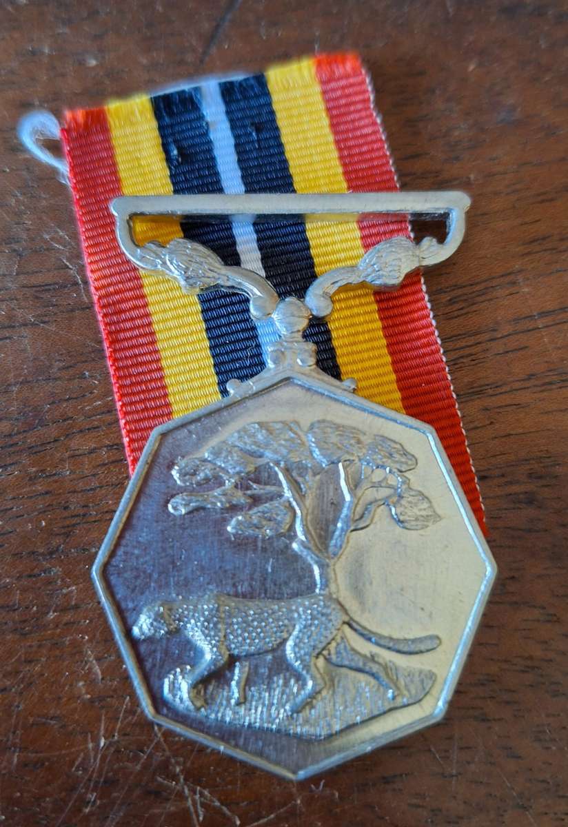 SADF & SANDF - SADF SOUTHERN AFRICA MEDAL (FULL SIZE) REAR NUMBERED ...
