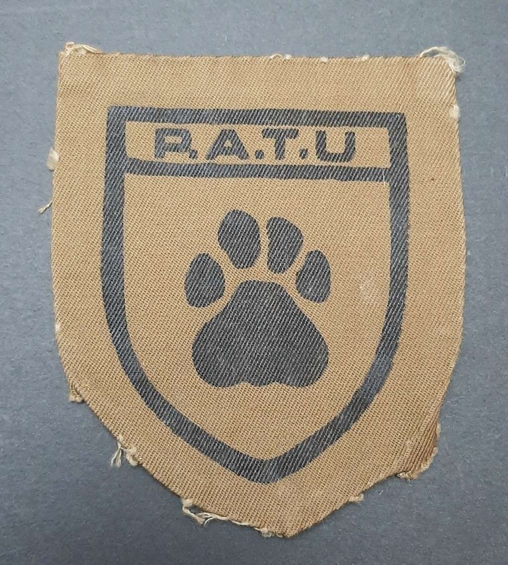 Other Badges & Insignia - **Rhodesian Bush War: 1960s PATU Green Type I ...