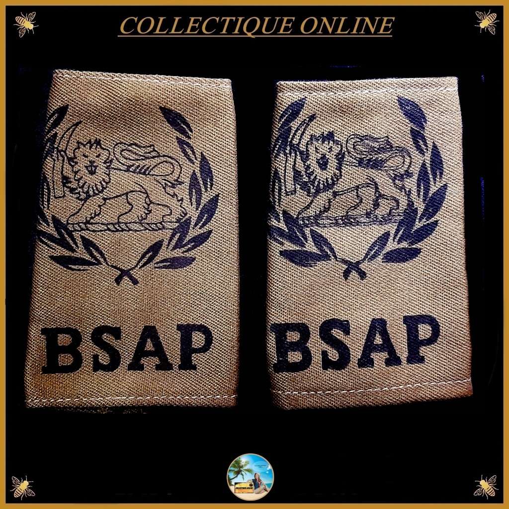 International Badges & Insignia - RHODESIA : BSAP LEFT AND RIGHT ...