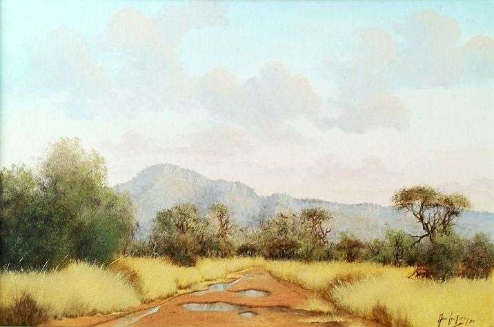 Paintings - Nico Coetzee (SA ) oil on board landscape, signed `85 was ...