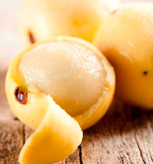 Other Business, Farming & Industry - MORULA / MAROELA Seeds - fruits ...