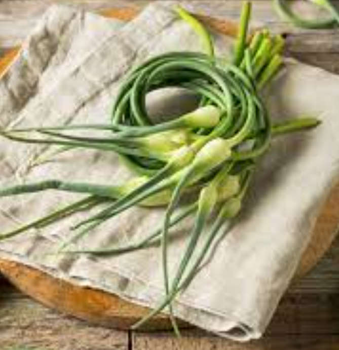 Other Business, Farming & Industry - GARLIC CHIVES / CHINESE CHIVES ...