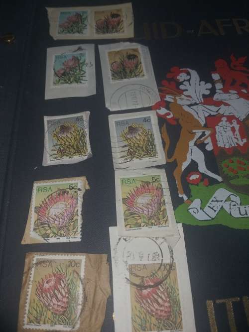 Republic of South Africa - RSA STAMPS Protea Collection 1977 #4 SOUTH ...