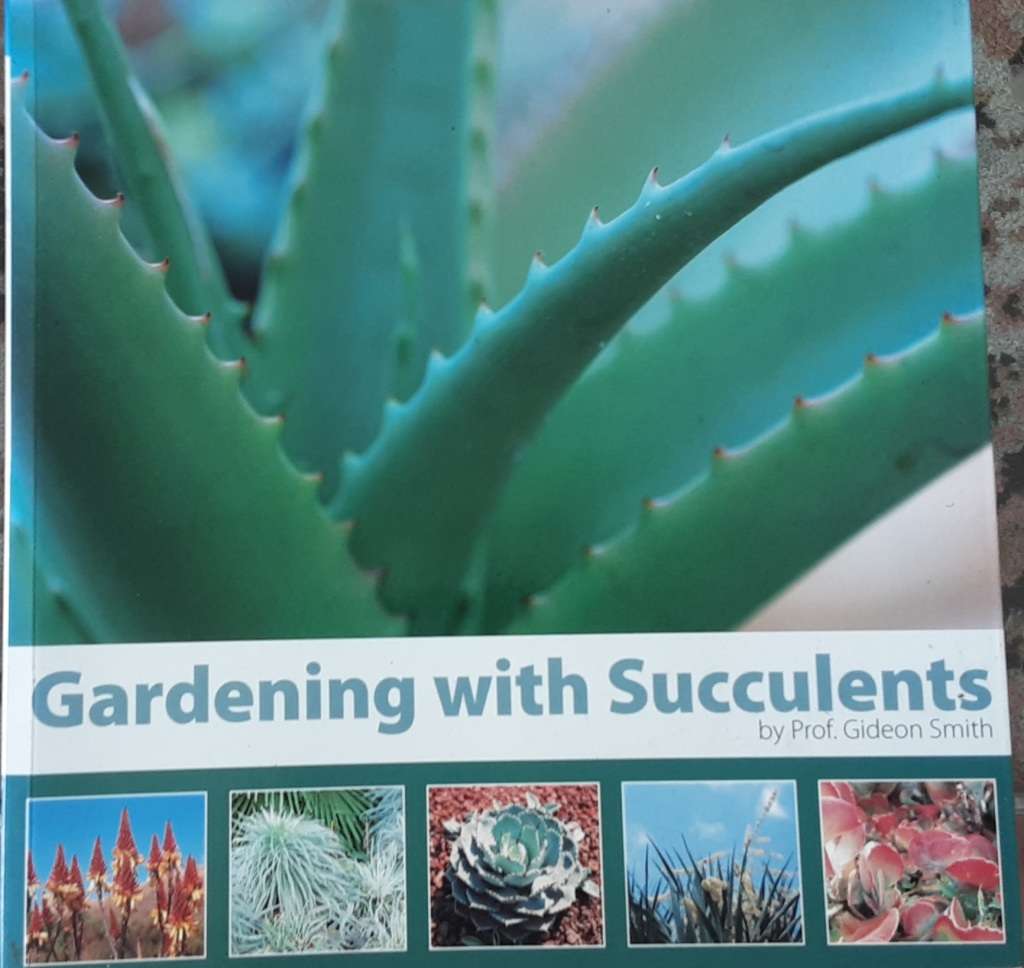 Home & Garden - Gardening with Succulents by Prof Gideon Smith for sale ...