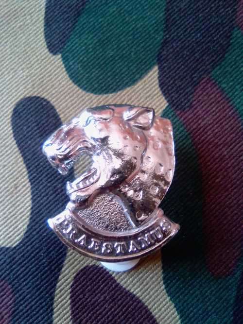 Headgear - SADF 121 BATTALION CHROMED COLLAR BADGE - RARE was listed ...