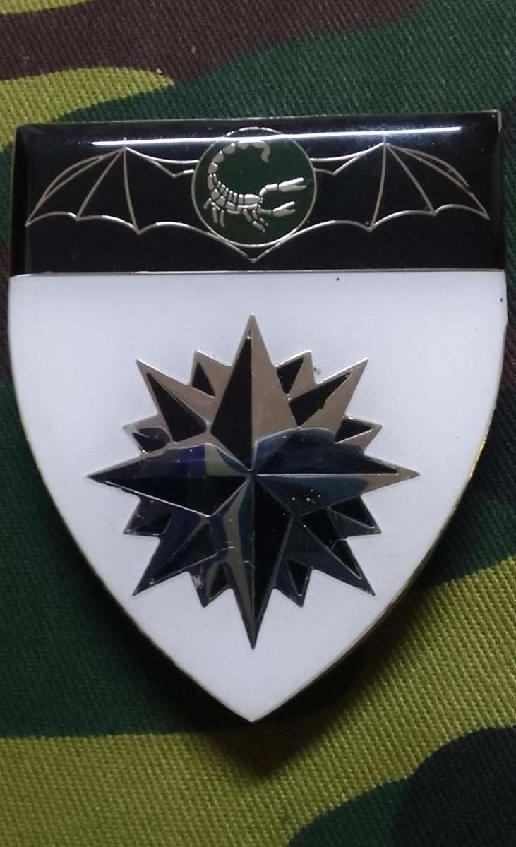 South African Army - SADF /SA ARMY 2 RECCE REGIMENT SHOULDER FLASH ...