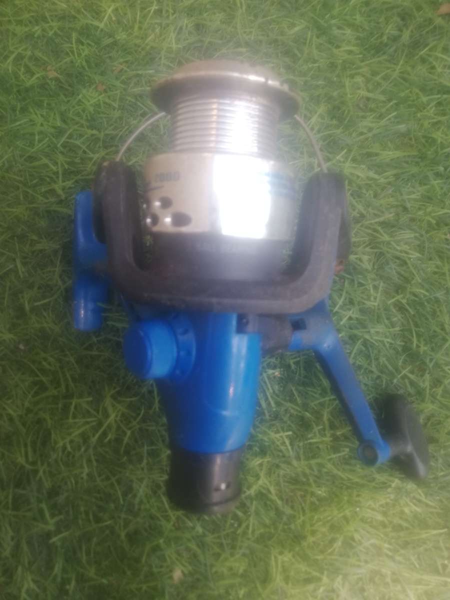 Reels - Fishing Reel Spinning Blue Vibe 2000, rear ratio 5.5:1, 1 ball ...
