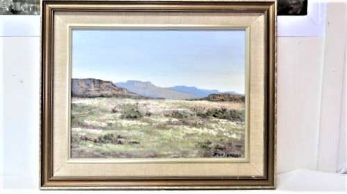 Other Antiques & Collectables - Stunning Framed S. A. Artist Don ...