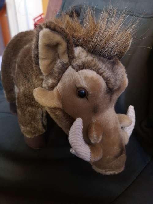 Stuffed Animals - `Warthog` by Born Wild Gifts was sold for 329.00 on 4 ...