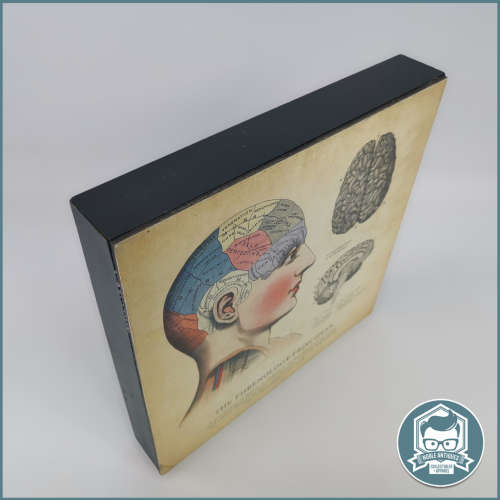 Other Scientific Instruments - Black Case Mounted Vintage Phrenological Map of The Human Brain ...