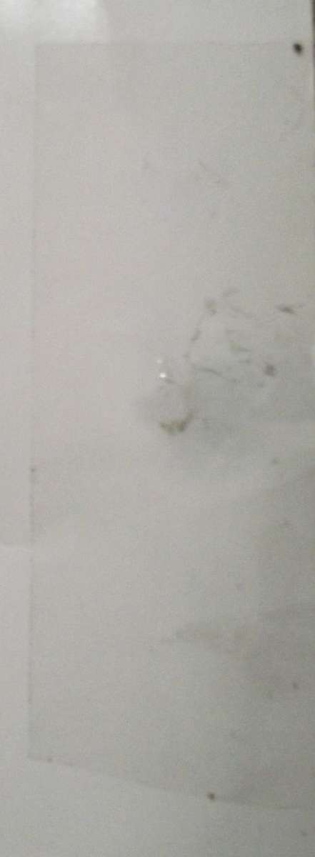 Documents & Literature - POSTER OF THE COMPLETE RANK INSIGNIA OF THE ...