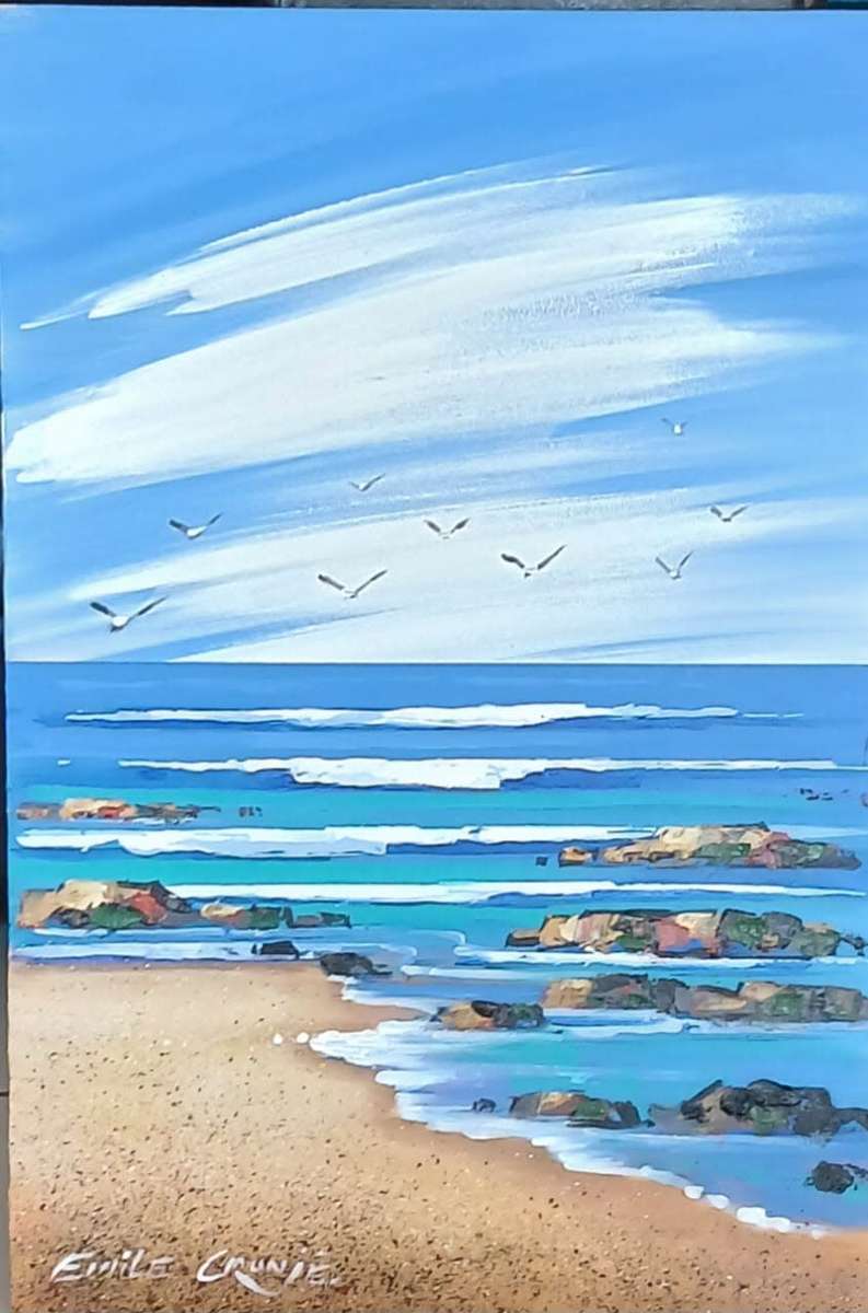 Paintings - Emile Cronje Unframed 45 x 30 cm for sale in Johannesburg ...