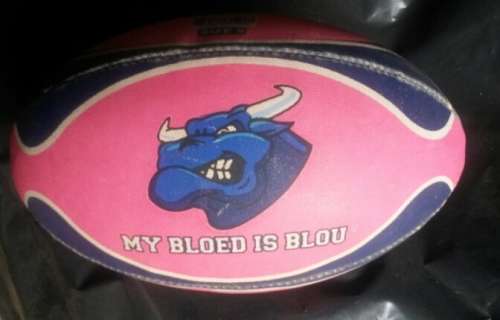 Supporters Gear & Collectibles - Blue Bull Rugby Ball for sale in ...