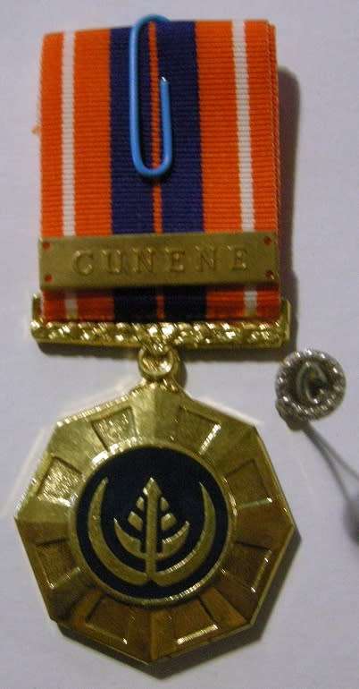 SADF & SANDF - Full Size Pro Patria Medal Numbered at Back w/ Cunene ...