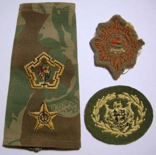 South African Army - SAP Camo Dress Badges x 3 was sold for R300.00 on ...