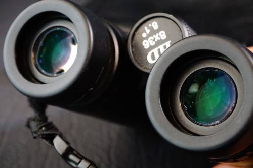 Binoculars & Monoculars - RSPB 8x36 HD 8.1 Binoculars **Excellent ...