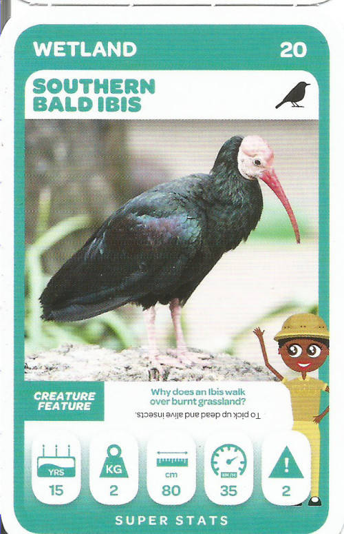 Trading Cards - PICK n PAY "SOUTH AFRICAN SUPER ANIMALS" SERIES 2 ...