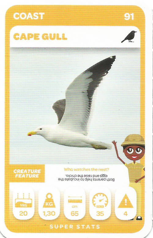 Trading Cards - PICK n PAY "SOUTH AFRICAN SUPER ANIMALS" SERIES 2 ...