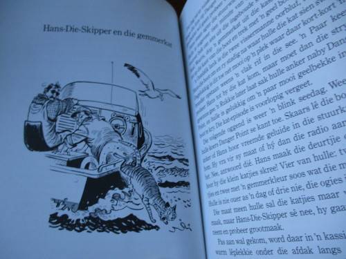 Afrikaans Non-Fiction - Die vis loop mooi vandag Alsoon Wessels ...